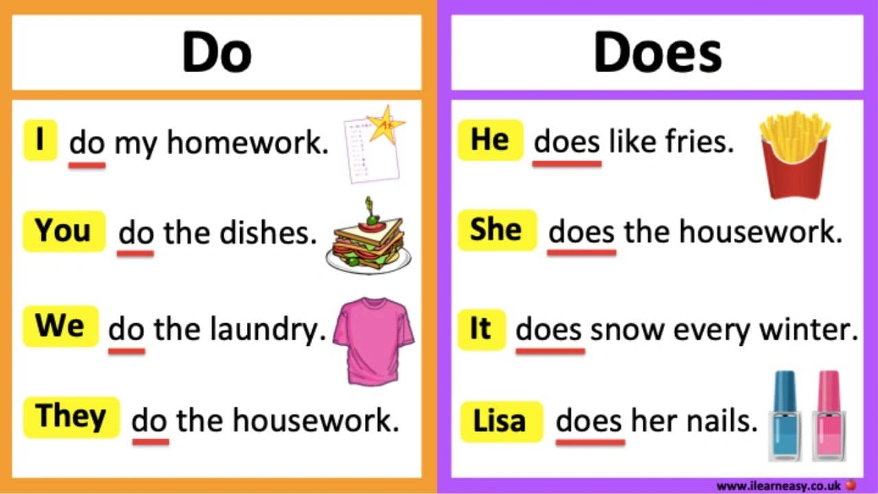 تدريبات على do does 2026 - انجليزي