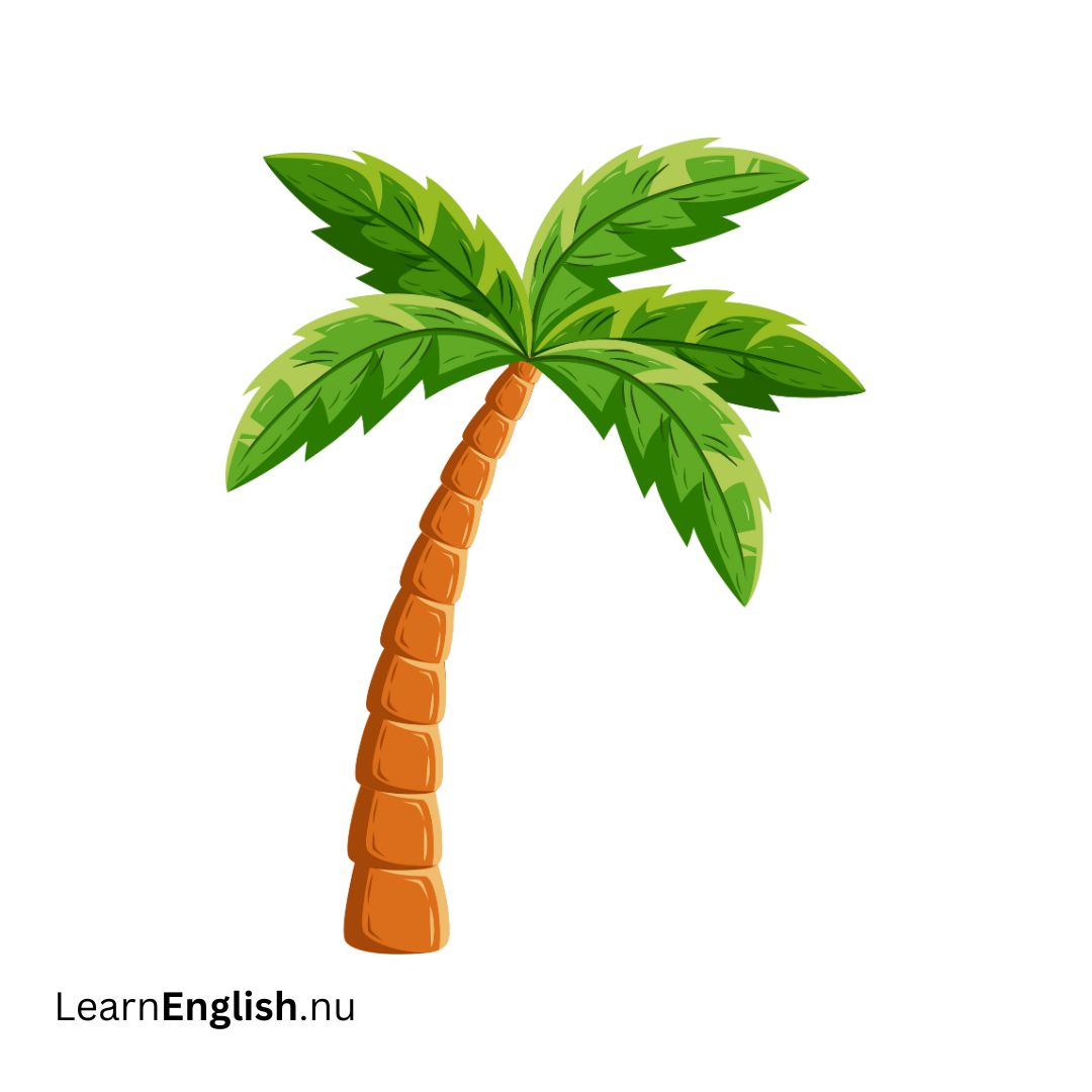 31 Plant Vocabulary In English With Picture Pronunciation Learn English 31 Plant Vocabulary In English With Picture Pronunciation Learn English