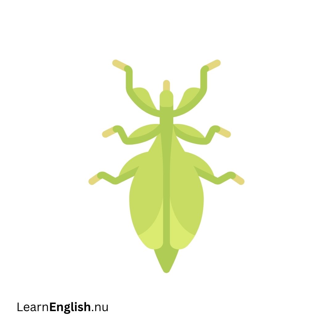 Insects and Reptiles in French - learn french