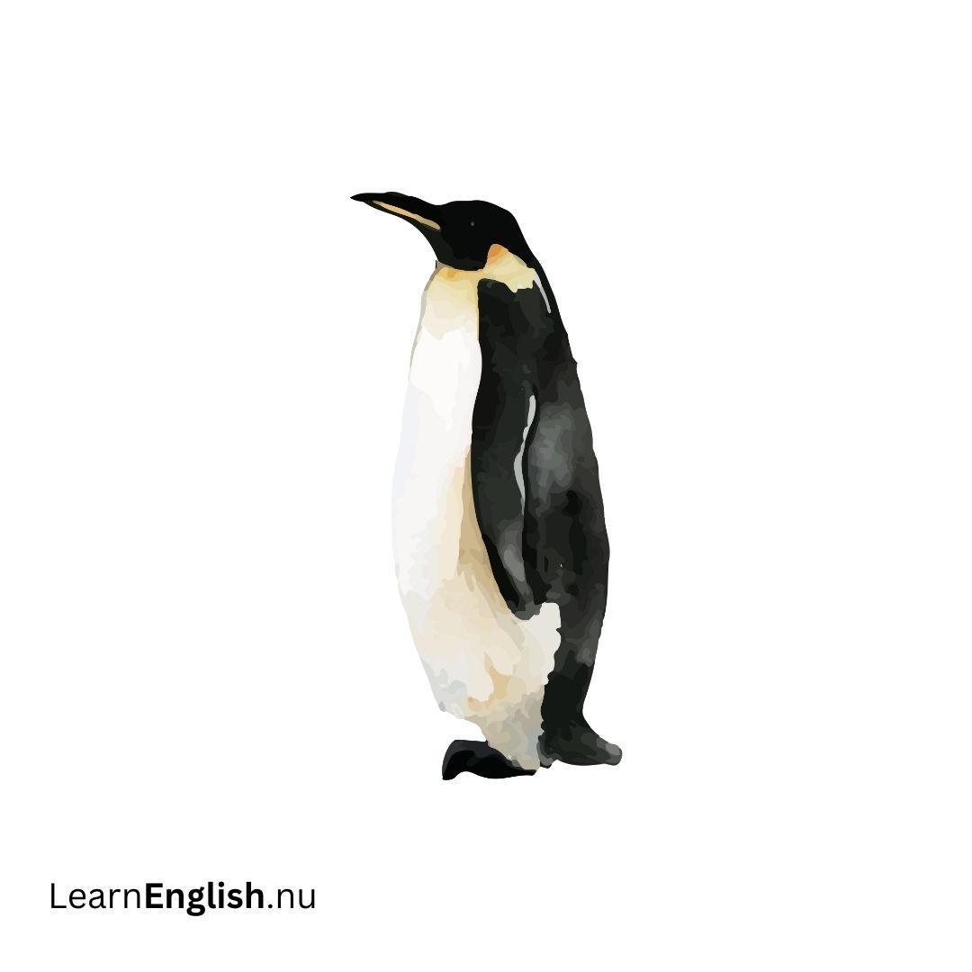 Swedish Lessons: Swedish animal names - learn swedish