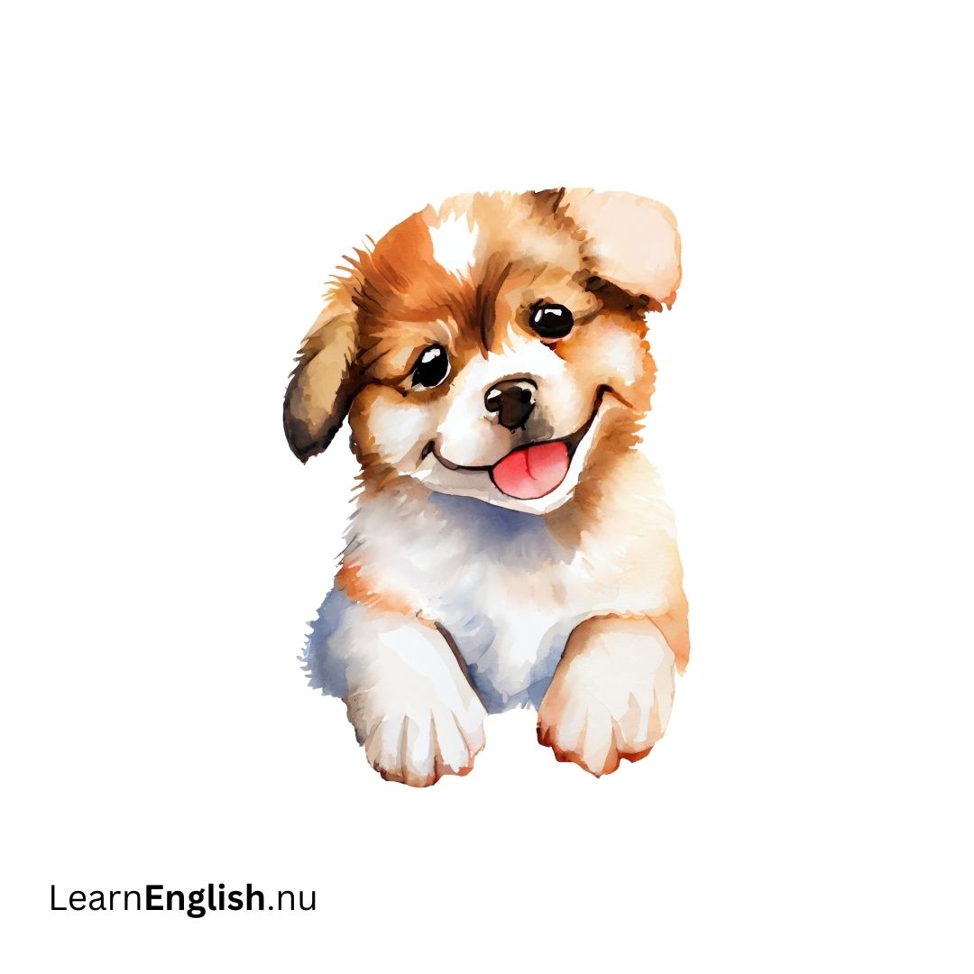 Swedish Lessons: Swedish animal names - learn swedish