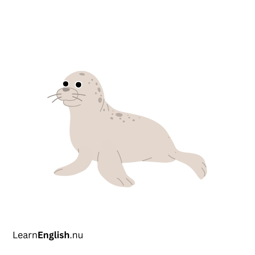 Swedish Lessons: Swedish animal names - learn swedish