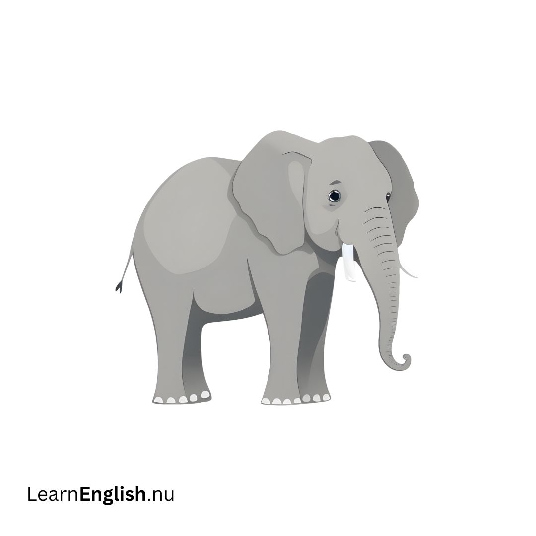 Swedish Lessons: Swedish animal names - learn swedish