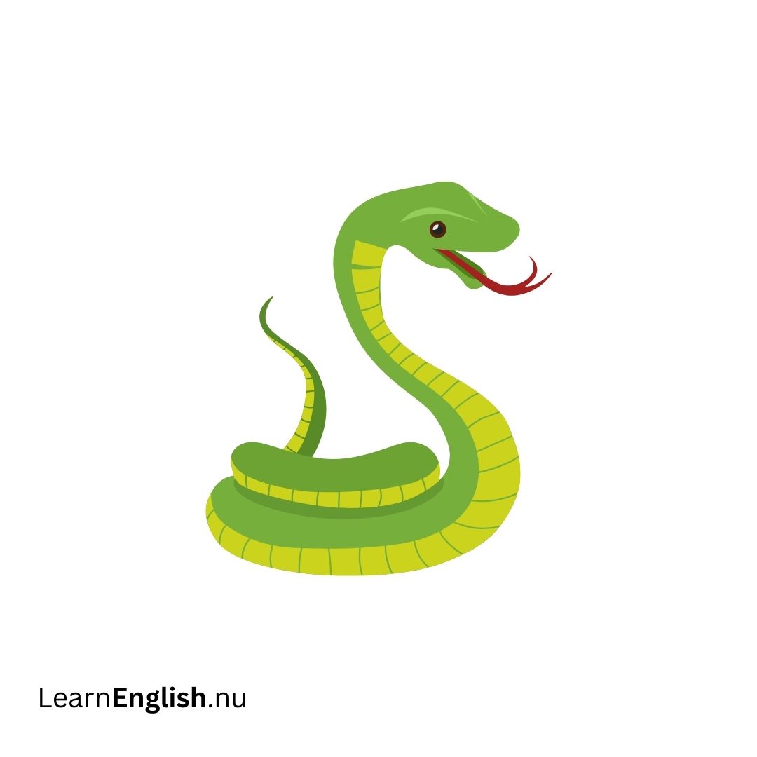 Swedish Lessons: Swedish animal names - learn swedish