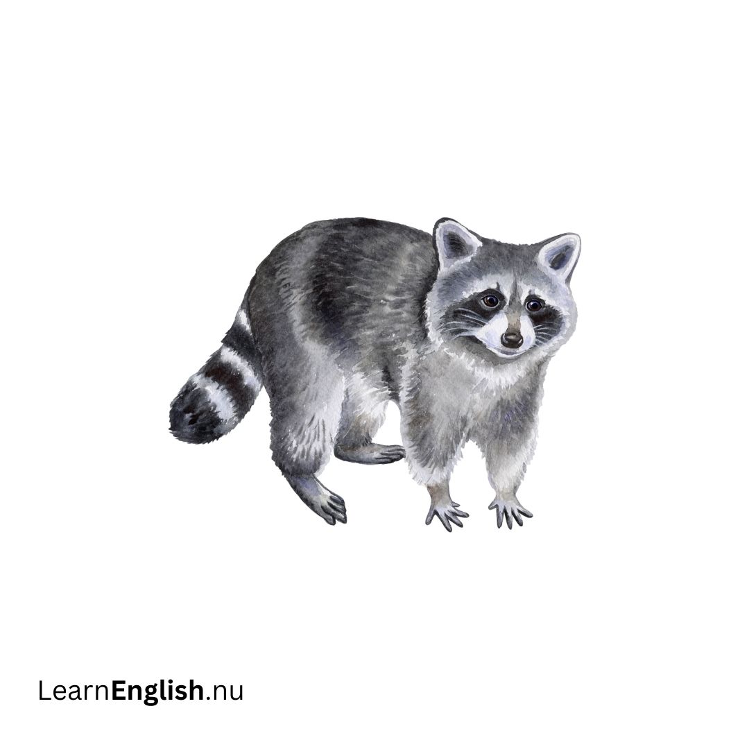 Swedish Lessons: Swedish animal names - learn swedish