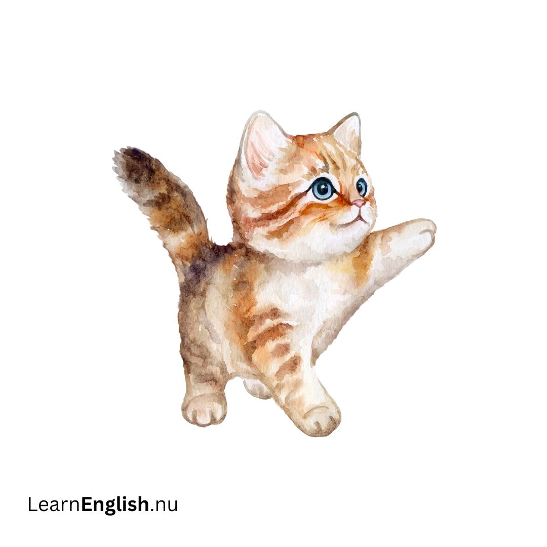 Swedish Lessons: Swedish animal names - learn swedish