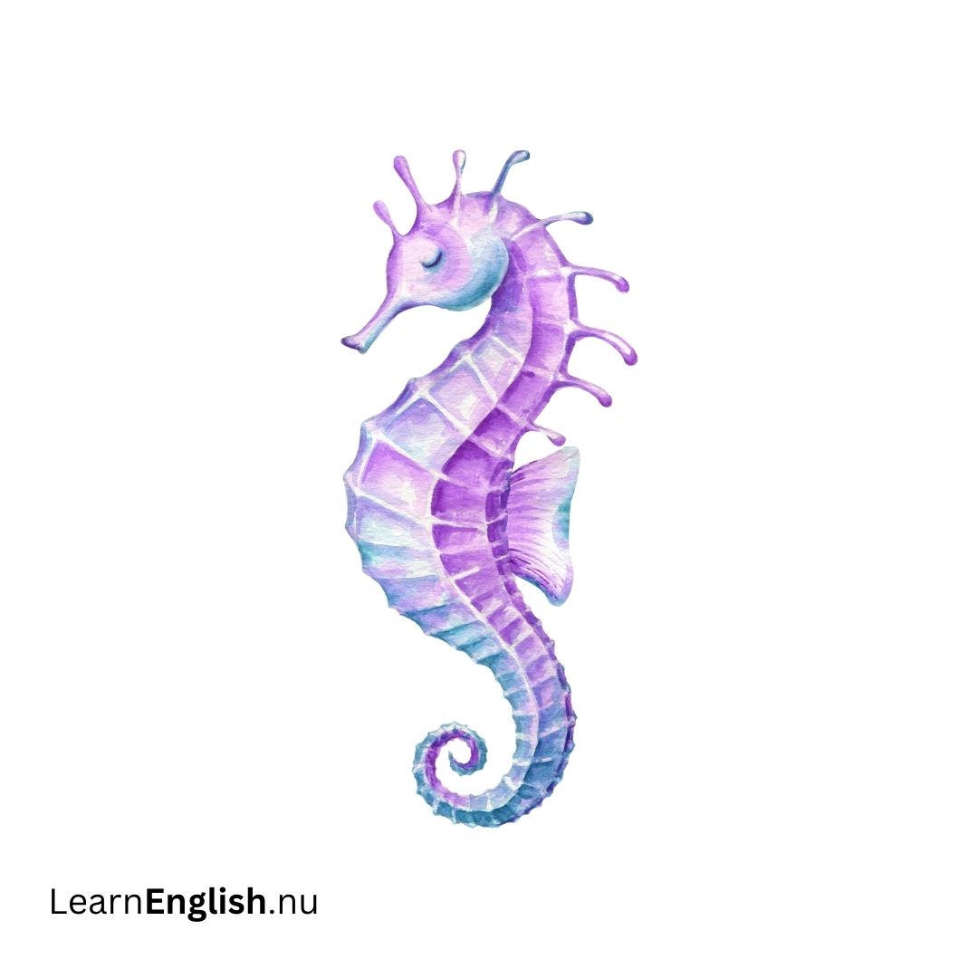 Swedish Lessons: Swedish animal names - learn swedish