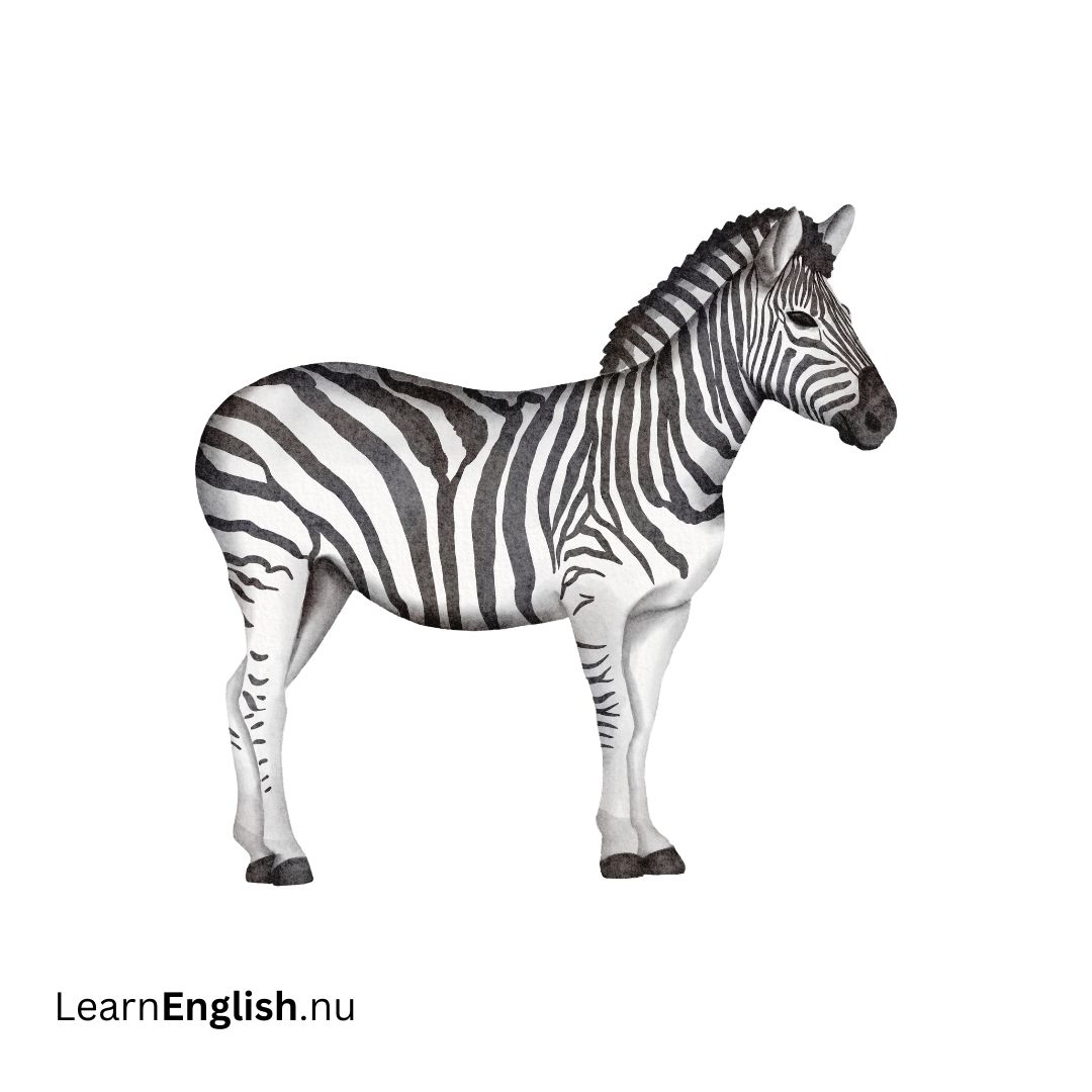 Swedish Lessons: Swedish animal names - learn swedish