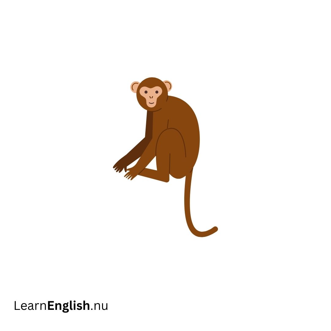 Swedish Lessons: Swedish animal names - learn swedish