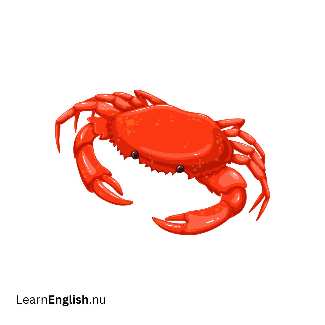 Farm animals in Swedish: Animal Names in Swedish - learn swedish