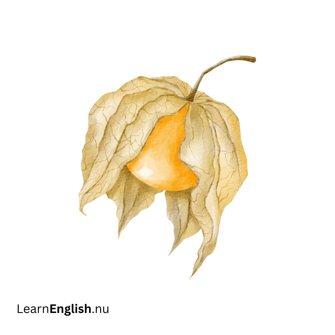 List of fruits in Swedish - learn swedish