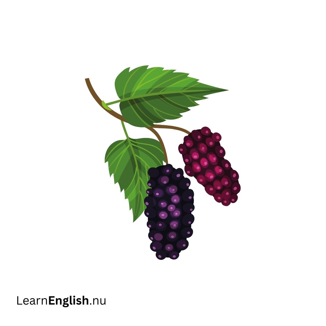 List of fruits in Swedish - learn swedish