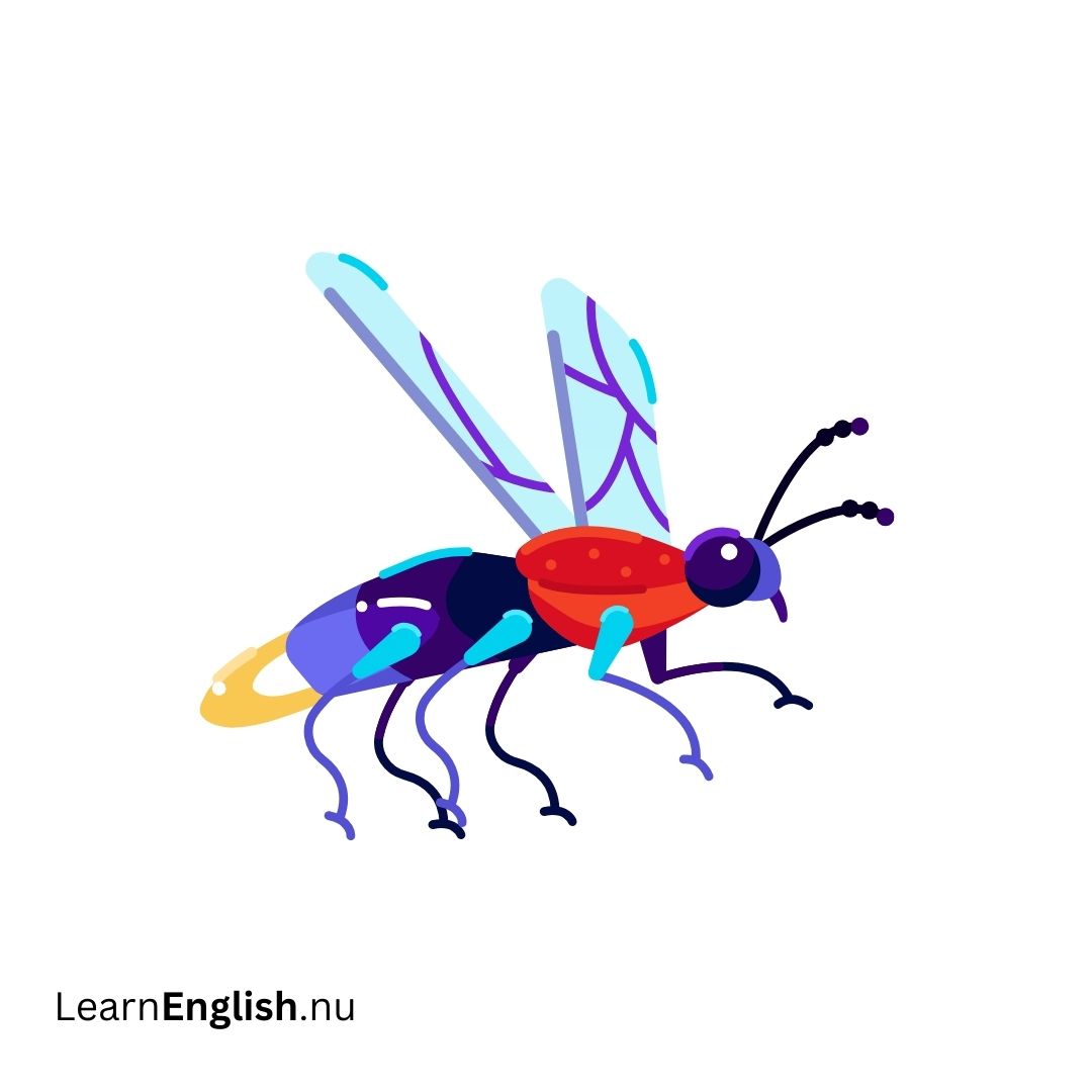 Swedish Lessons: Insects and Reptiles in Swedish pictures & audio ...