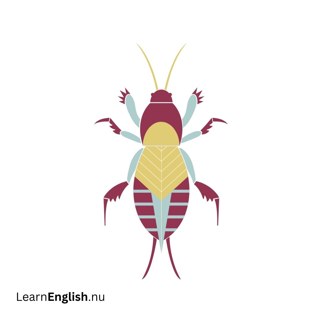 Swedish Lessons: Insects and Reptiles in Swedish pictures & audio ...