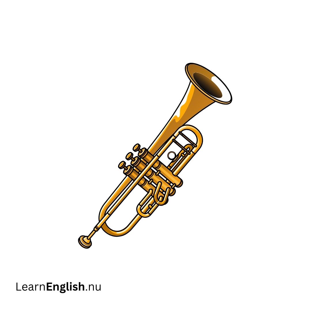 Musical instruments names in Swedish language - learn swedish