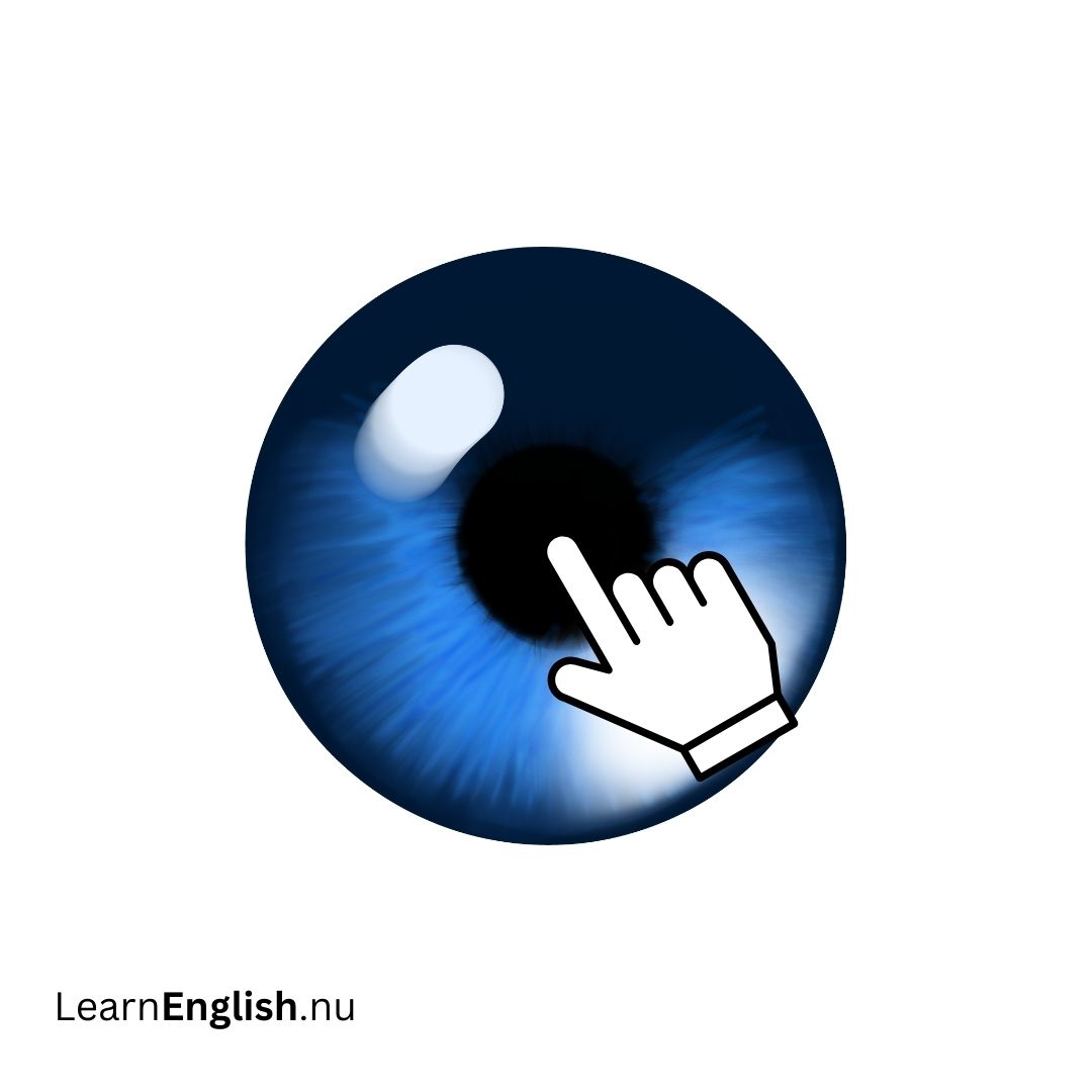 Body parts in Swedish: the Eye (Kroppsdelar) - learn swedish