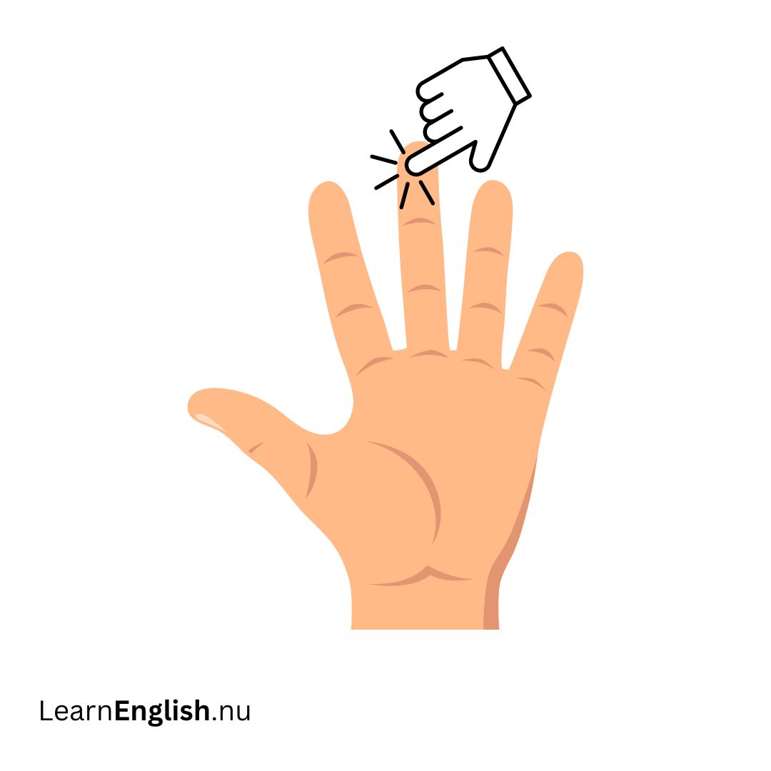 Body parts in Swedish: The hand (Kroppsdelar) - learn swedish