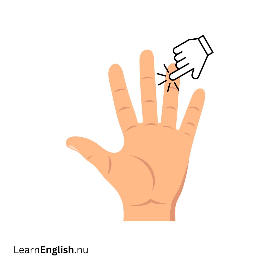 Body parts in Swedish: The hand (Kroppsdelar) - learn swedish