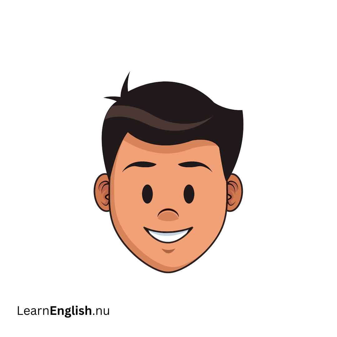 Parts of the Head in Swedish: Learn Swedish - learn swedish