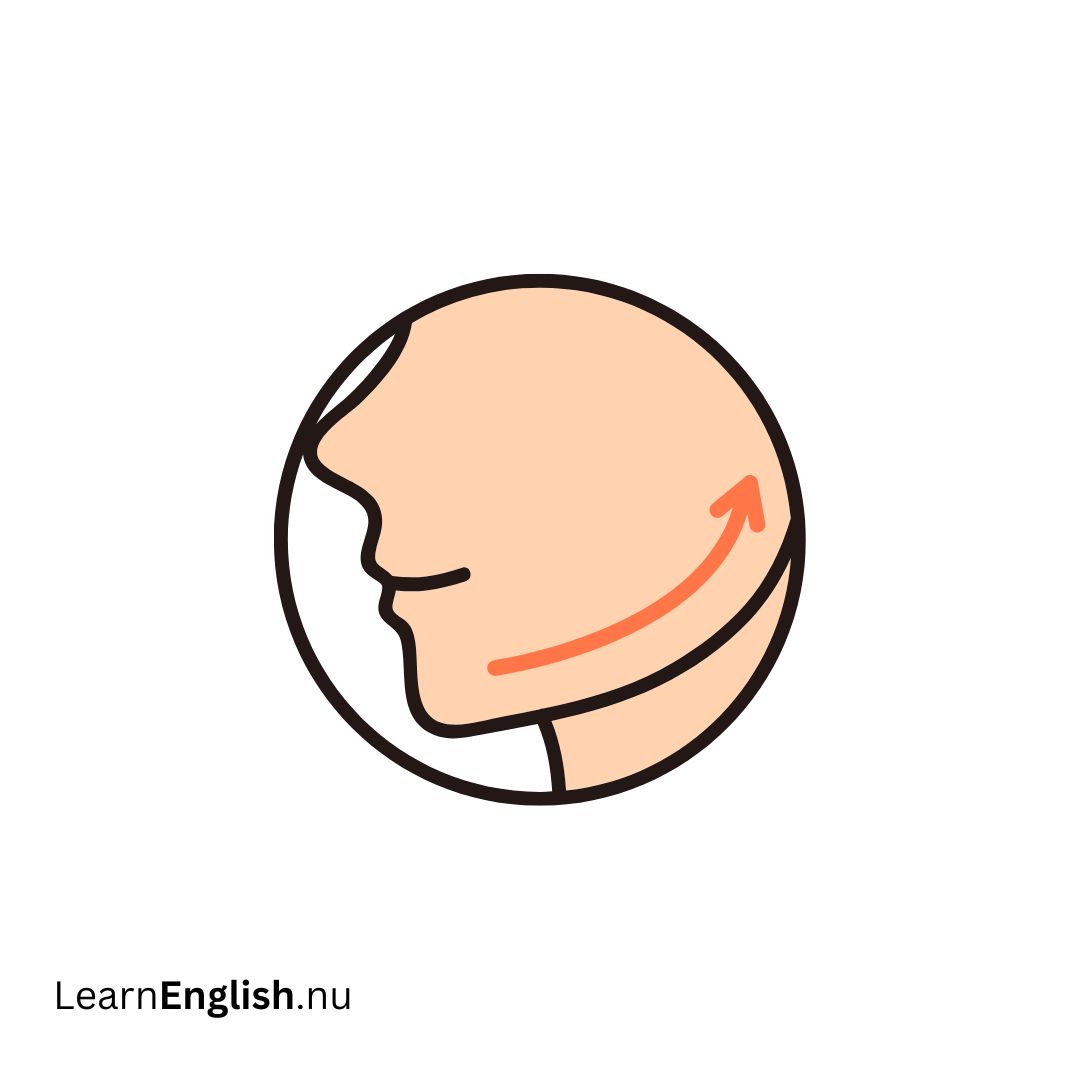 Parts of the Head in Swedish: Learn Swedish - learn swedish
