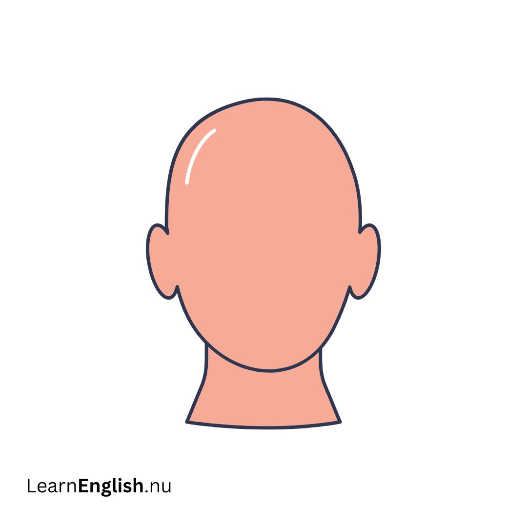 Parts of the Head in Swedish: Learn Swedish - learn swedish