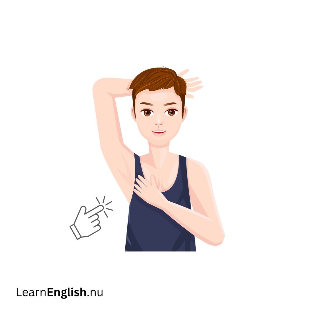 Swedish Parts of the Body Vocabulary - learn swedish