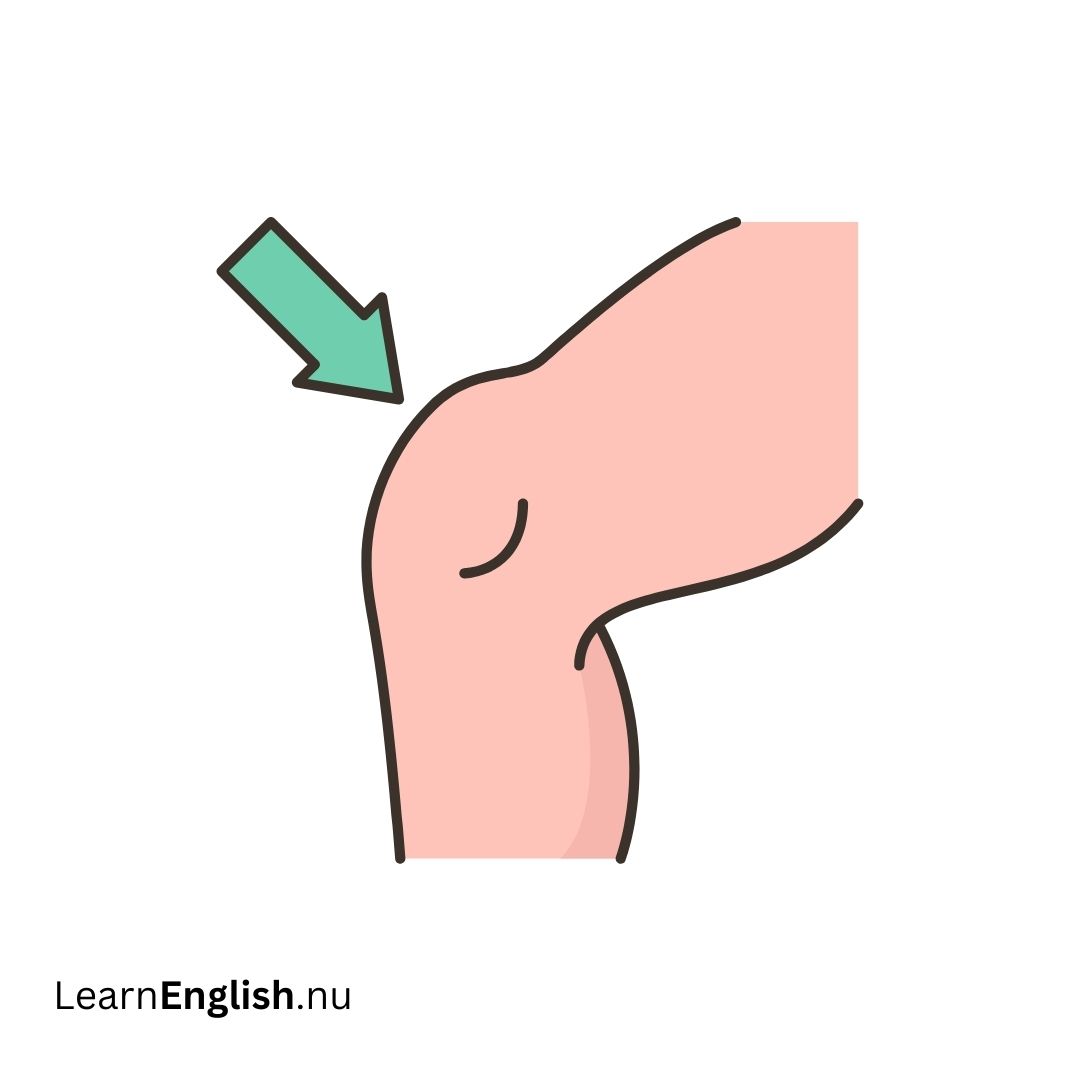 Swedish Parts of the Body Vocabulary - learn swedish