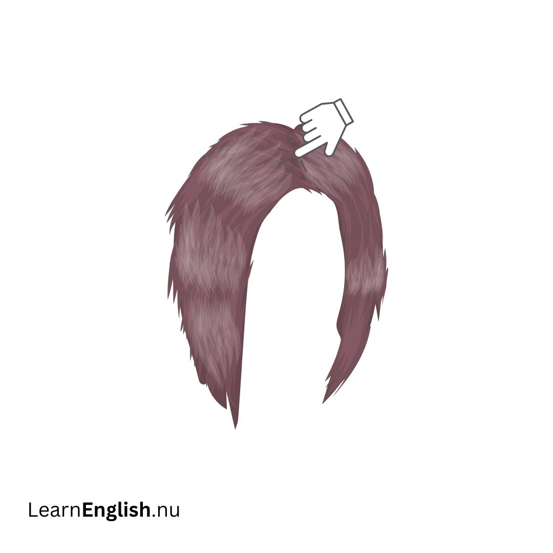 Swedish Parts of the Body Vocabulary - learn swedish