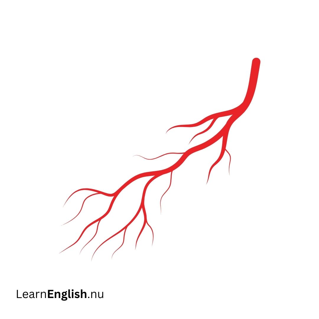 Swedish Parts of the Body Vocabulary - learn swedish