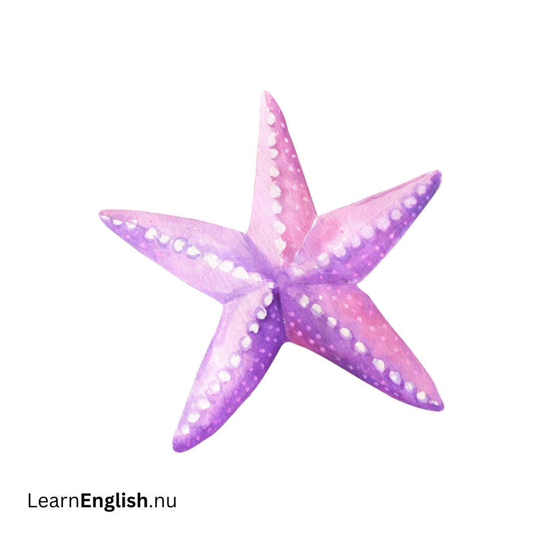 Pet names in Swedish: Animal Names in Swedish - learn swedish