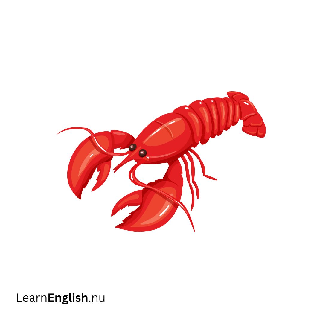 Pet names in Swedish: Animal Names in Swedish - learn swedish