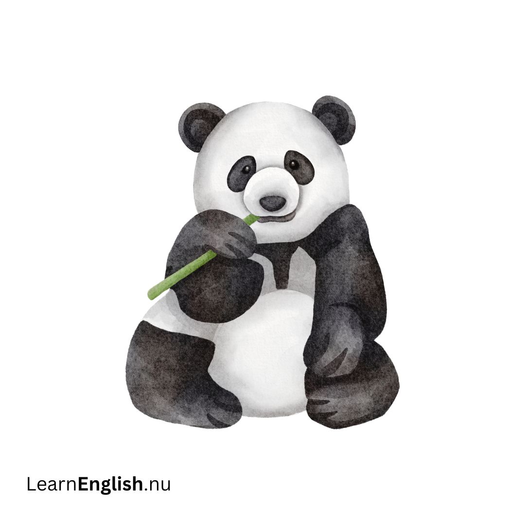 Pet names in Swedish: Animal Names in Swedish - learn swedish