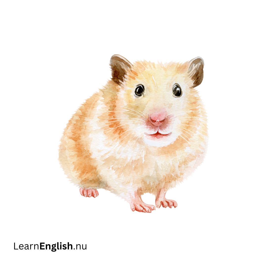 Pet names in Swedish: Animal Names in Swedish - learn swedish