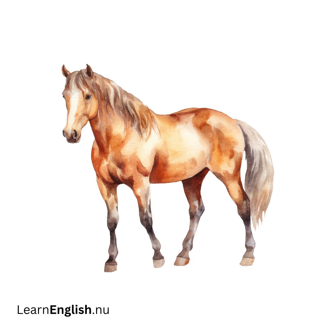 Pet names in Swedish: Animal Names in Swedish - learn swedish