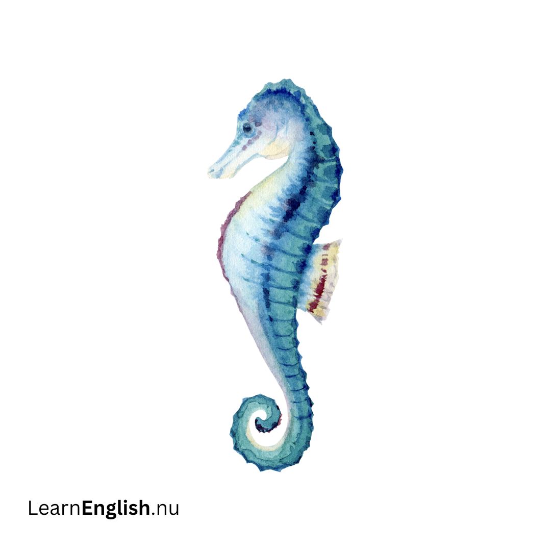 Pet names in Swedish: Animal Names in Swedish - learn swedish