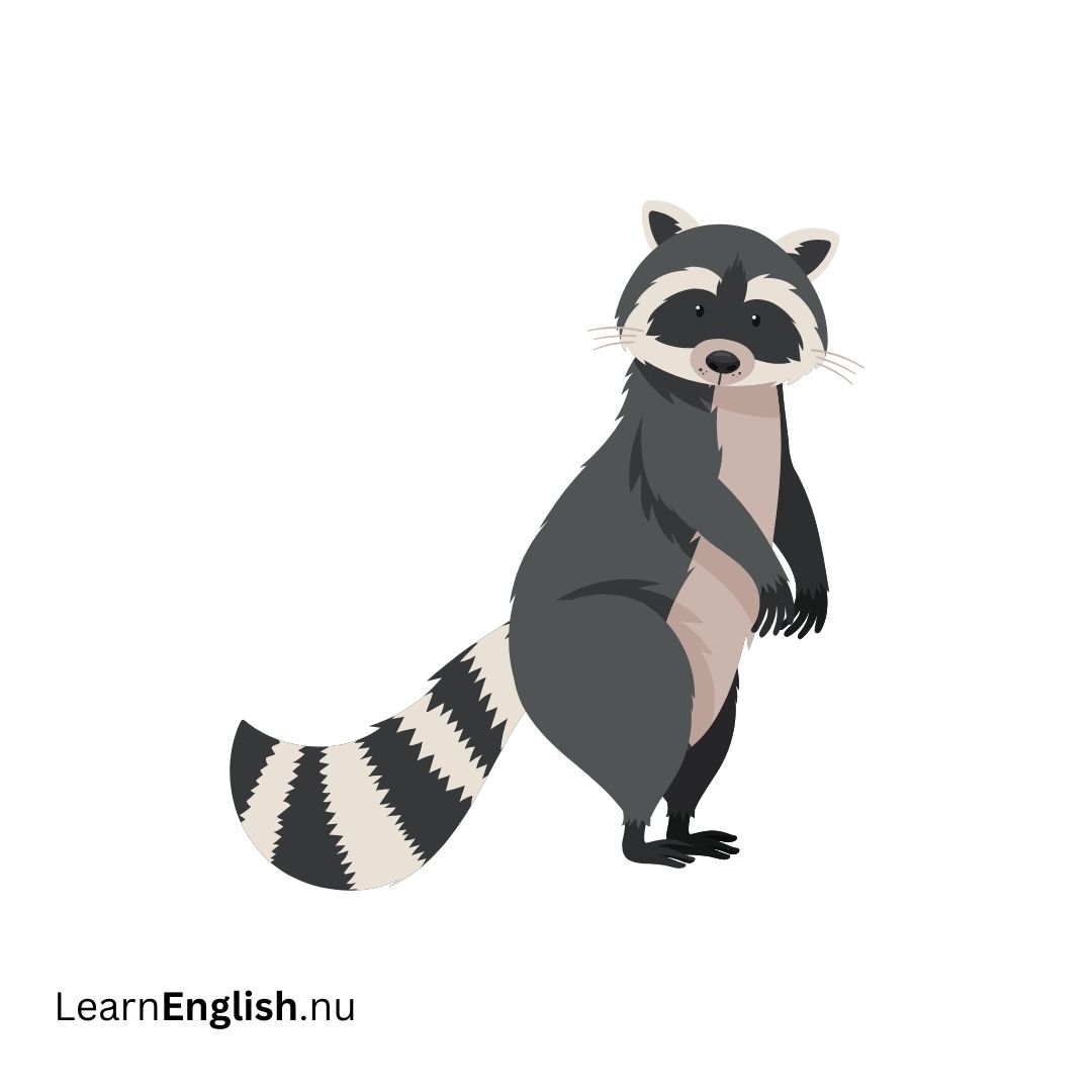 Swedish Lessons: wild animals names in Swedish - learn swedish