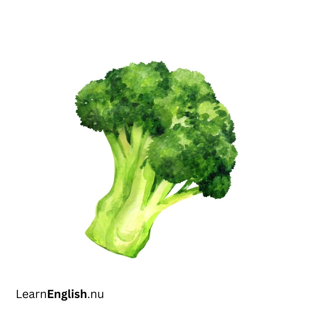 List of vegetables Grönsaker in Swedish - learn swedish