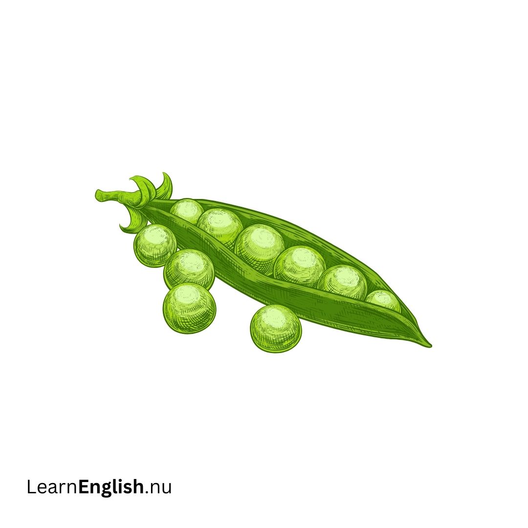 List of vegetables Grönsaker in Swedish - learn swedish