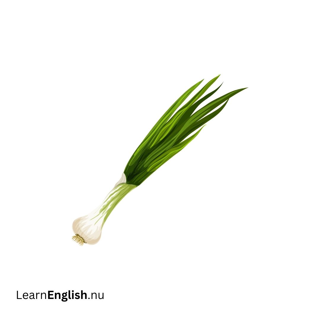 List of vegetables Grönsaker in Swedish - learn swedish