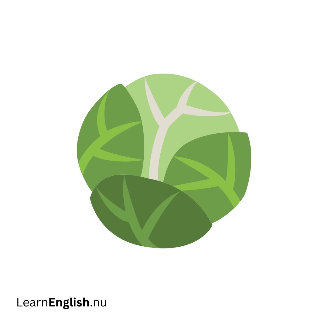 List of vegetables Grönsaker in Swedish - learn swedish