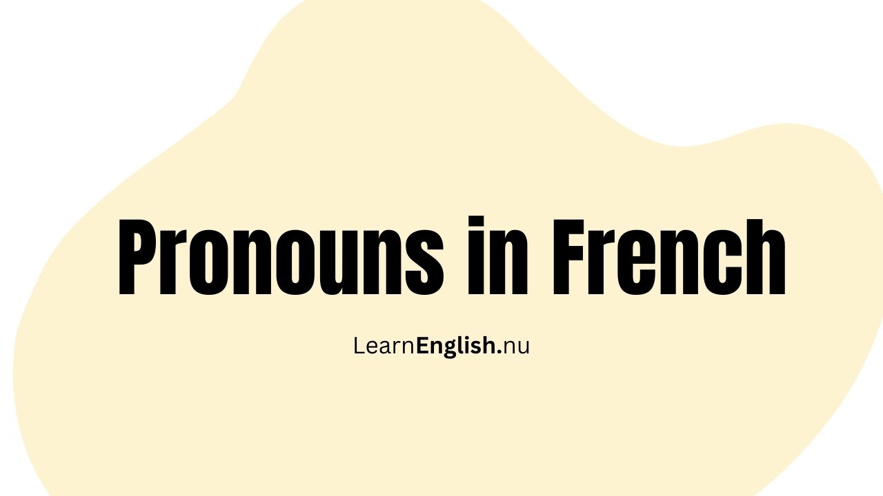 Pronouns in French - learn french