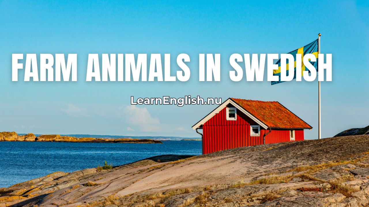 Farm animals in Swedish: Animal Names in Swedish - learn swedish