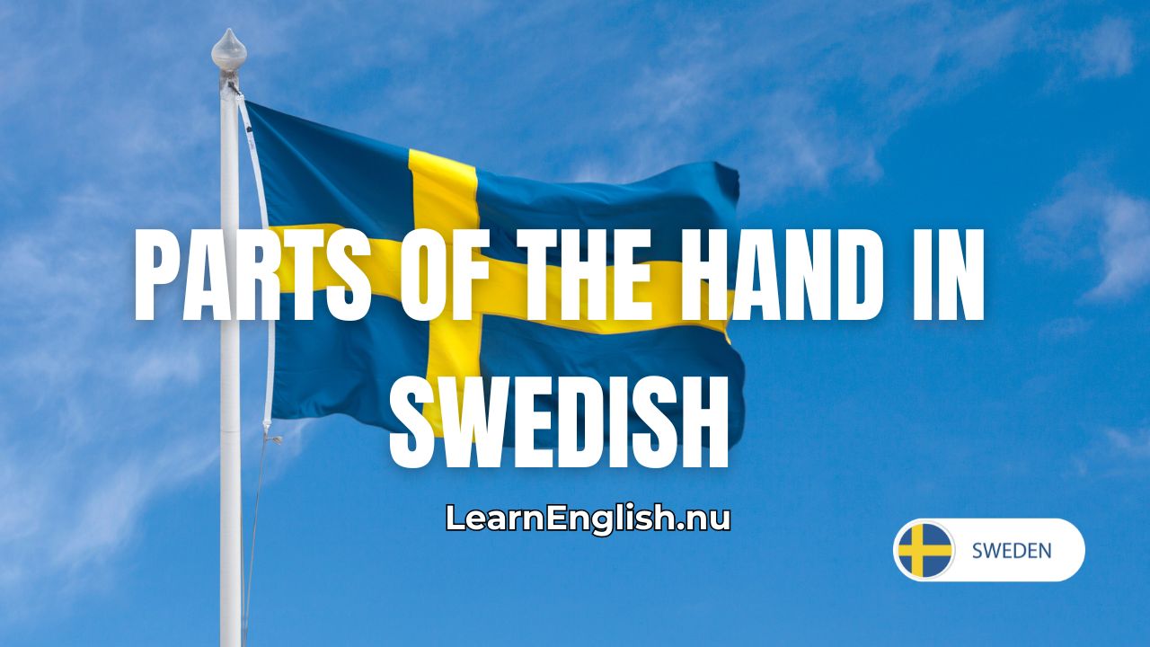 Body parts in Swedish: The hand (Kroppsdelar) - learn swedish